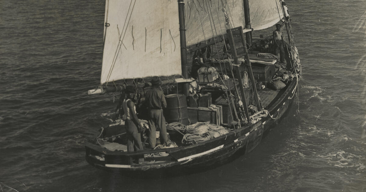 Legacies of slavery in Australia unpacked in new Maritime Museum ...