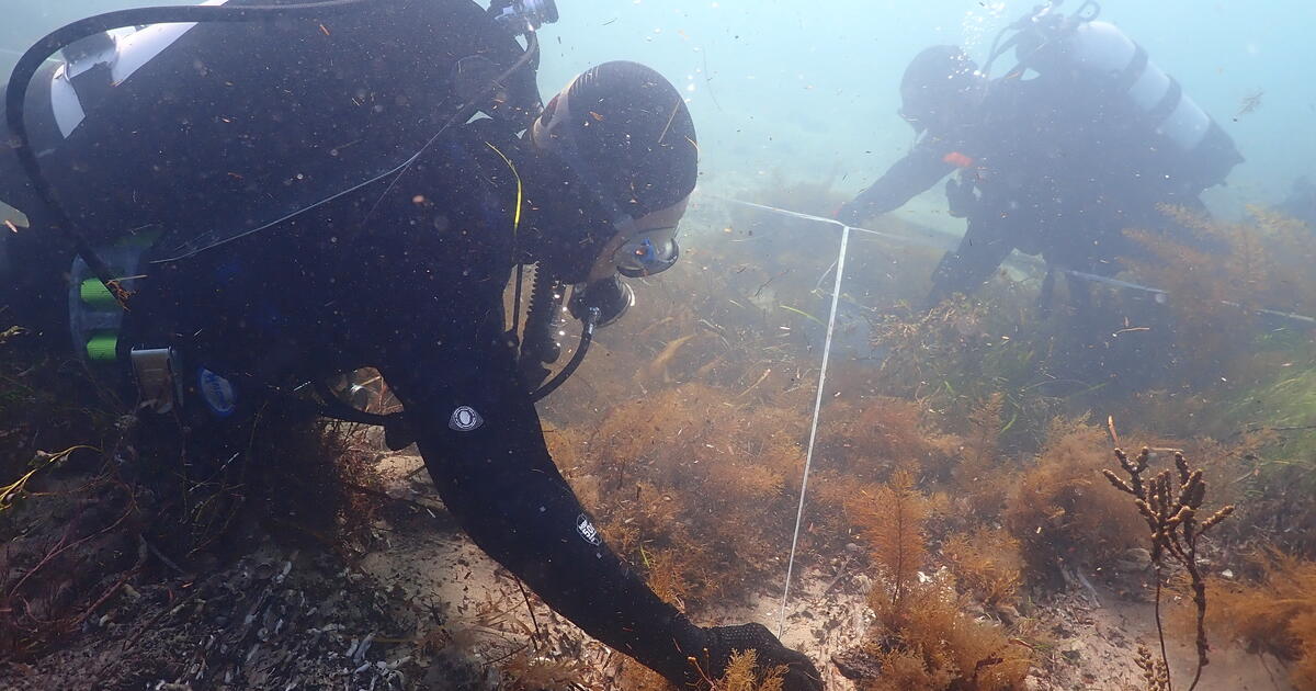 Mystery Shipwreck - Archaeology Case Study | Australian National ...