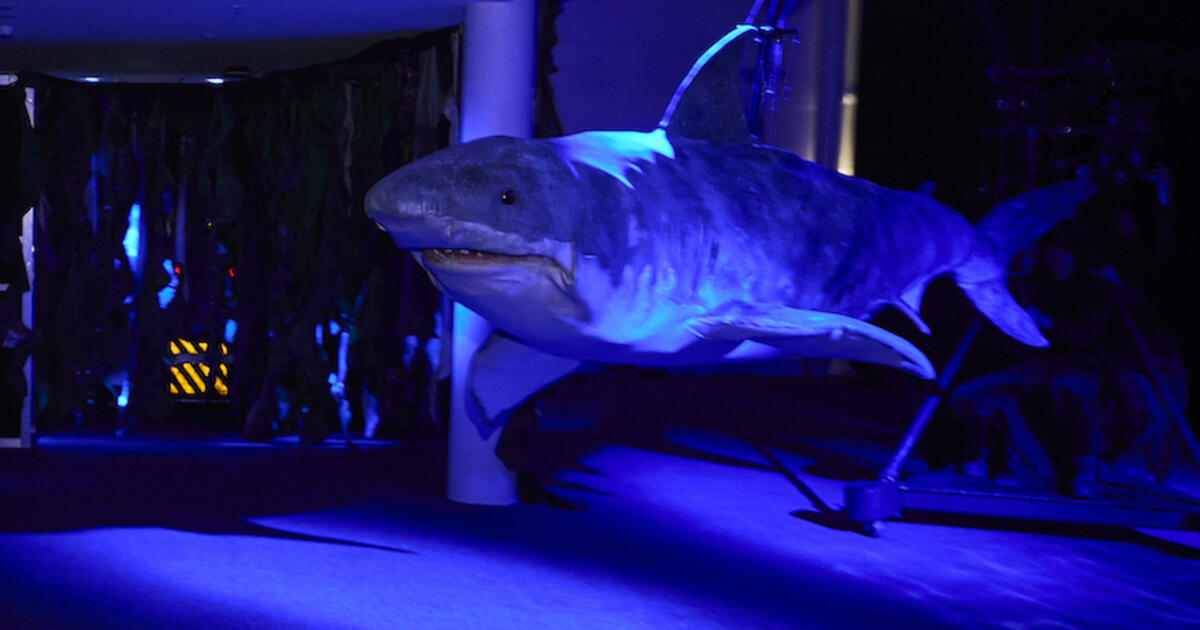 Swim with sharks in brand-new immersive puppetry experience at the ...