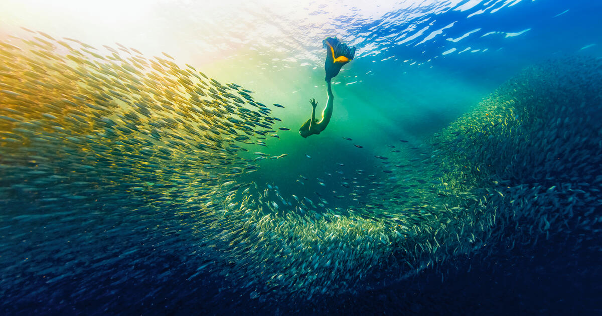 Ocean Photographer of the Year | Australian National Maritime Museum
