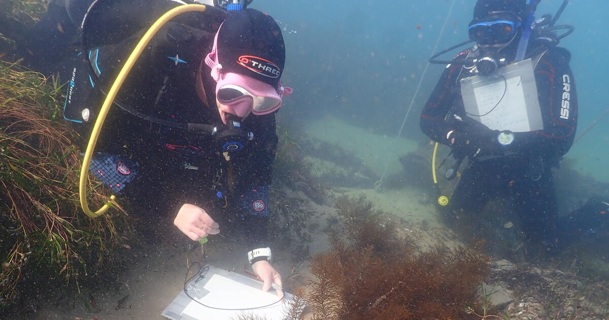 Uncovering South Australia’s oldest known shipwreck | Australian ...