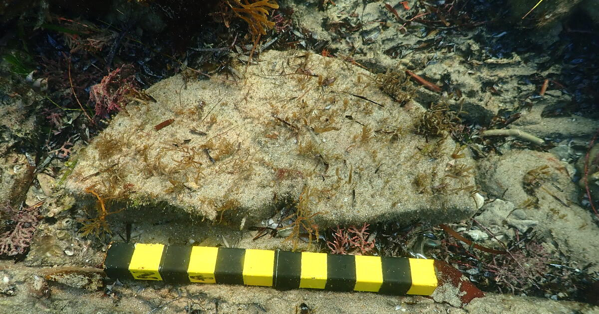 Mystery Shipwreck Activity 5 - Objects (Spike) | Australian National ...