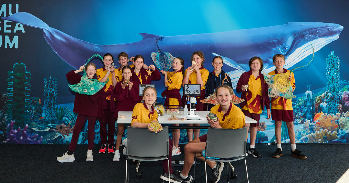 Bring the Maritime Museum into the classroom in Term 2 with a host of ...