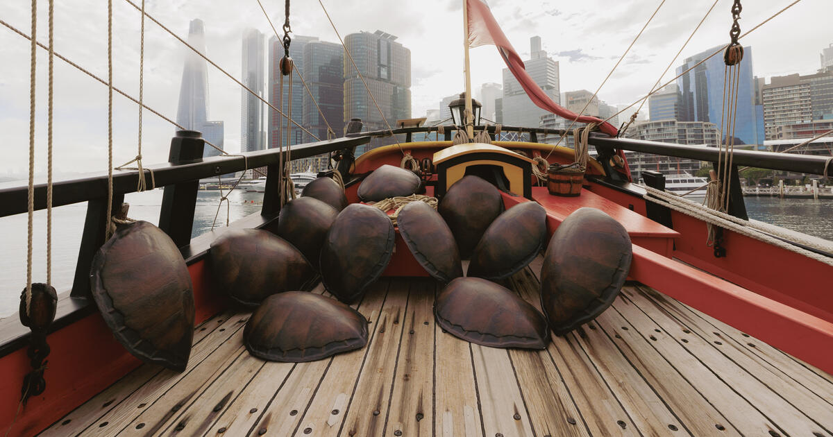 Gail Mabo Turtle Shells | Australian National Maritime Museum