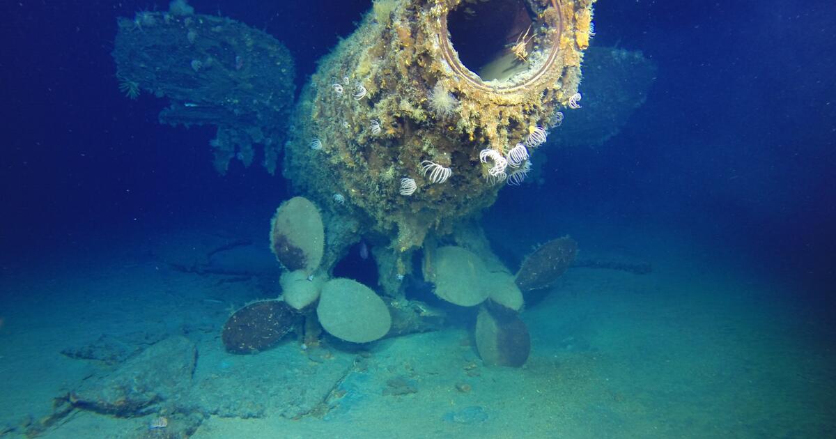 Finding HMAS AE1 | Australian National Maritime Museum