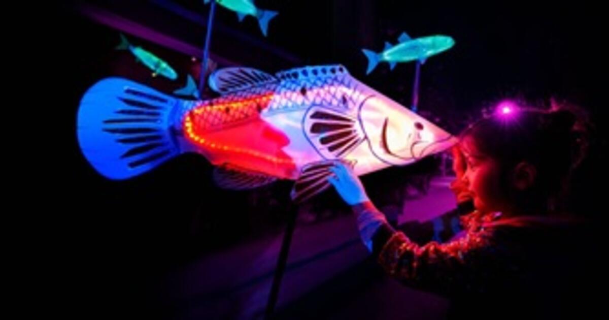 'Badu' by Erth | Australian National Maritime Museum