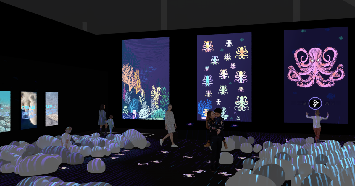 Octopus Garden | Australian National Maritime Museum