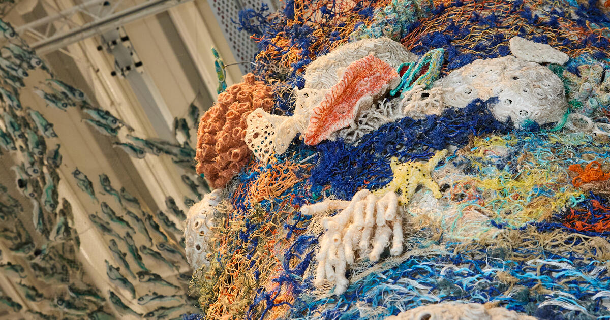 Ocean health and sustainability self-guided resource | Australian National Maritime Museum